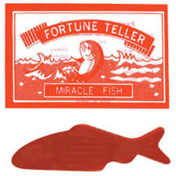 Fortune Telling Fish - 24 each – Magickits.com Magic Shop