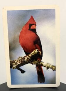 Cardinal Playing Cards | MagicKits.com Magic Shop – Magickits.com Magic ...